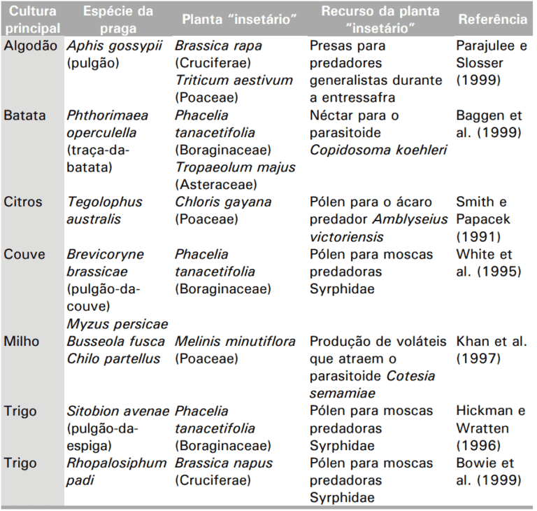 Plantio Direto: Tudo o que você precisa saber sobre Plantio Direto: Tudo o que você precisa saber sobre