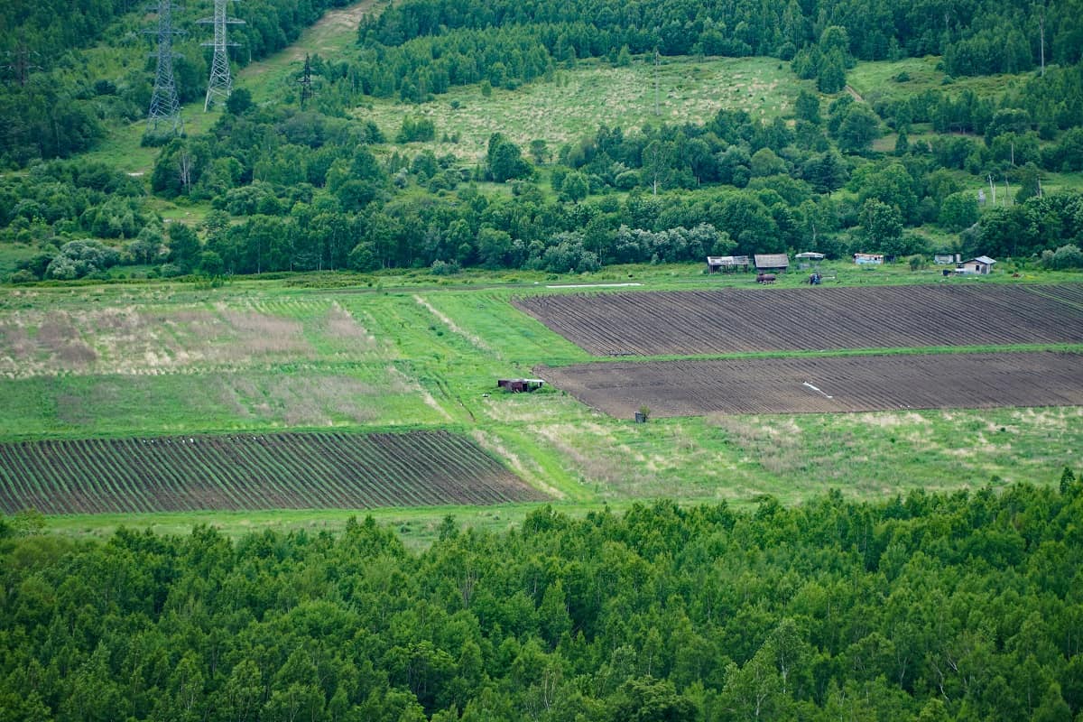 Hectare Ou Alqueire Voc Sabe Qual Medida De Terra Usar 